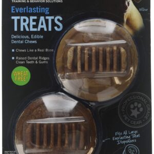 (4 Pack) Everlasting Large Chicken Treats, Made in The USA