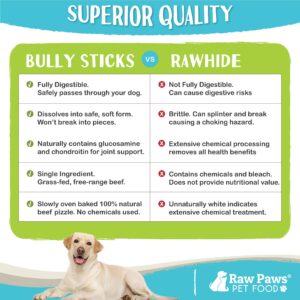 Raw Paws Thin Bully Sticks for Dogs, 6" (20 Pack) - Bully Sticks for Small Dogs Free Range Bull Pizzle - Low Odor Mini Bully Sticks for Puppies - Small Bully Sticks - Puppy Bully Sticks for Dogs