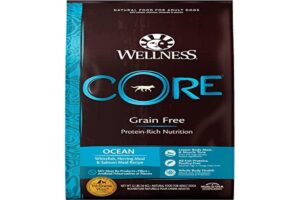 wellness core ocean dry dog food, 22-pound bag