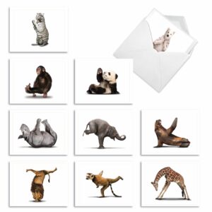 the best card company - 10 boxed thank you notes w/envelopes, assorted stationery to say thanks for men and women - zoo yoga m6547tyg