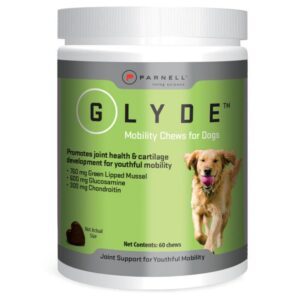 glyde mobility chews - dog hip & support supplement with glm, glucosamine and chondroitin | 60 chews