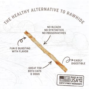 Earth Animal No Hide Stix Salmon Flavored Natural Rawhide Free Dog Chews Long Lasting Dog Chew Sticks | Dog Treats for Small Dogs and Cats | Great Dog Chews for Aggressive Chewers (1 Pack)