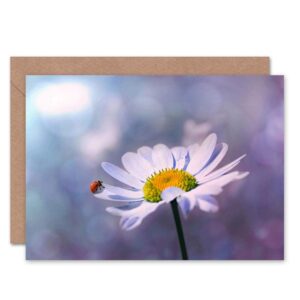 wee blue coo greetings card birthday gift nature ladybug daisy flower close up bokeh