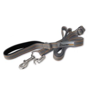 thunderleash no-pull dog leash (large (over 25 lbs), grey)