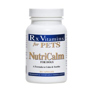 rx vitamins nutricalm dog anxiety relief - dog separation anxiety supplement - calming aid for dogs - keep dog calm for vet, thunder, & travel - 50 ct