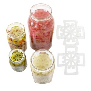 viscodisc canning buddies - regular mouth mason jar inserts