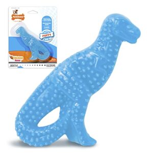 Nylabone Dental Dinosaur Puppy Chew Toy - Puppy Chew Toy for Teething - Puppy Supplies - Chicken Flavor, Small/Regular (1 Count)