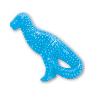 nylabone dental dinosaur puppy chew toy - puppy chew toy for teething - puppy supplies - chicken flavor, small/regular (1 count)