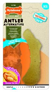 nylabone puppy chew gentle chewing puppy antler alternative chicken flavored dog chew toy, petite