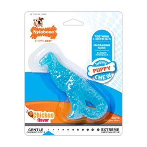 Nylabone Dental Dinosaur Puppy Chew Toy - Puppy Chew Toy for Teething - Puppy Supplies - Chicken Flavor, Small/Regular (1 Count)