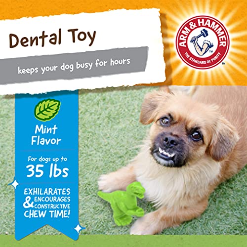 Arm & Hammer for Pets Nubbies Dental Toys T-Rex Dental Chew Toy for Dogs Best Dog Chew Toy for Moderate Chewers Reduces Plaque & Tartar Buildup Without Brushing, Mint Flavor (Pack of 1)