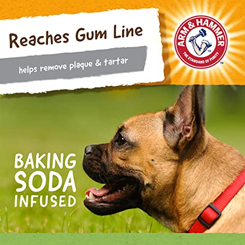 Arm & Hammer for Pets Nubbies Dental Toys T-Rex Dental Chew Toy for Dogs Best Dog Chew Toy for Moderate Chewers Reduces Plaque & Tartar Buildup Without Brushing, Mint Flavor (Pack of 1)