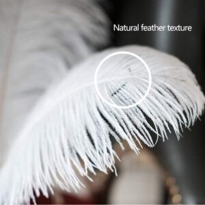 AWAYTR 10-12 inch (25-30cm) Natural Ostrich Feathers for Wedding Centerpieces Home Decoration,Flower Arrangement,DIY Christmas Decorations (10pcs,White)