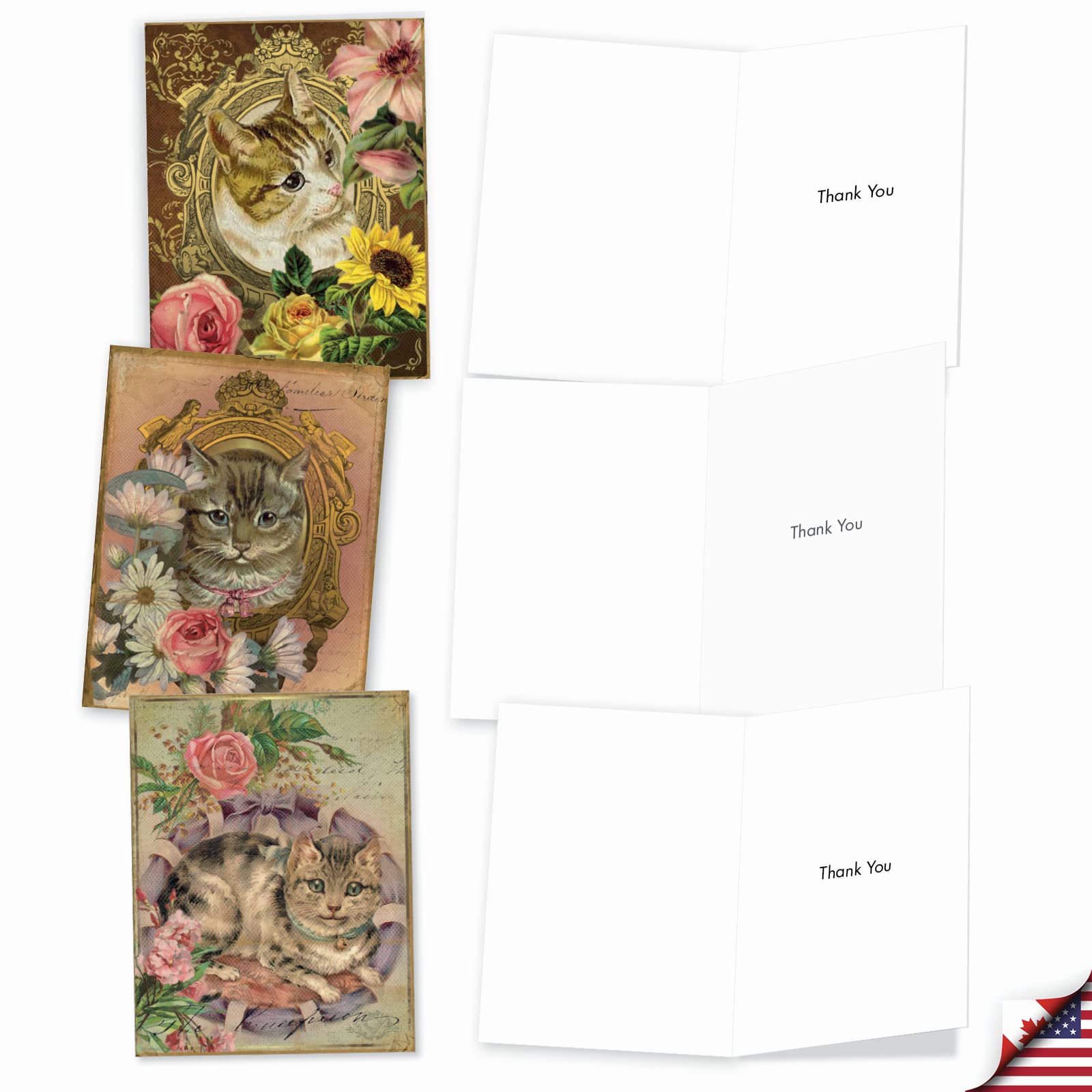 The Best Card Company 10 Assorted Thank You Notecards Box Set 4 x 5.12 Inch with Envelopes (10 Designs, 1 Each) Feline Frames M6638TYG