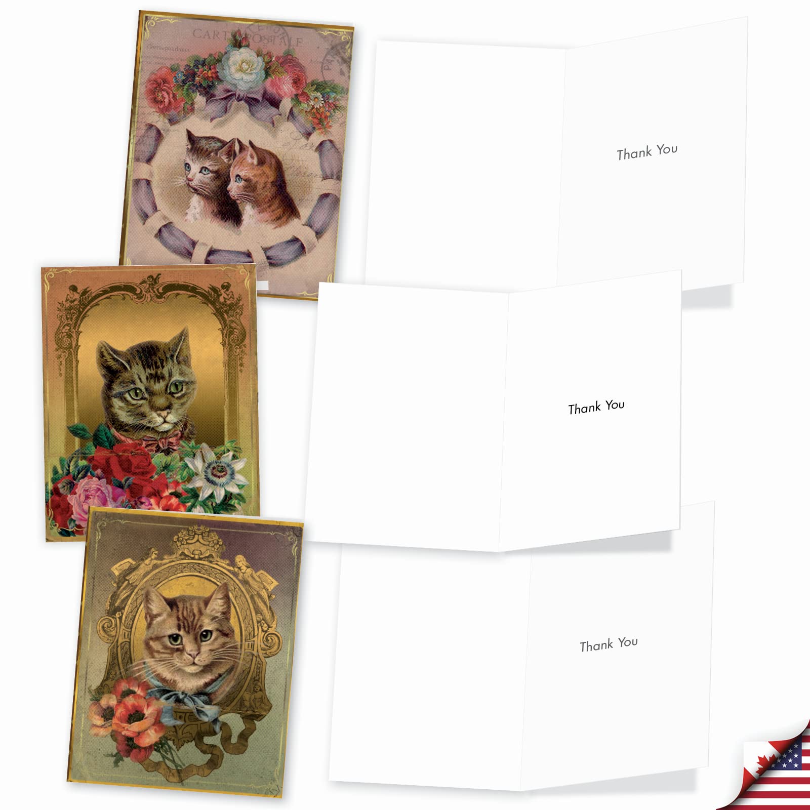 The Best Card Company 10 Assorted Thank You Notecards Box Set 4 x 5.12 Inch with Envelopes (10 Designs, 1 Each) Feline Frames M6638TYG