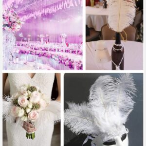 AWAYTR 10-12 inch (25-30cm) Natural Ostrich Feathers for Wedding Centerpieces Home Decoration,Flower Arrangement,DIY Christmas Decorations (10pcs,White)