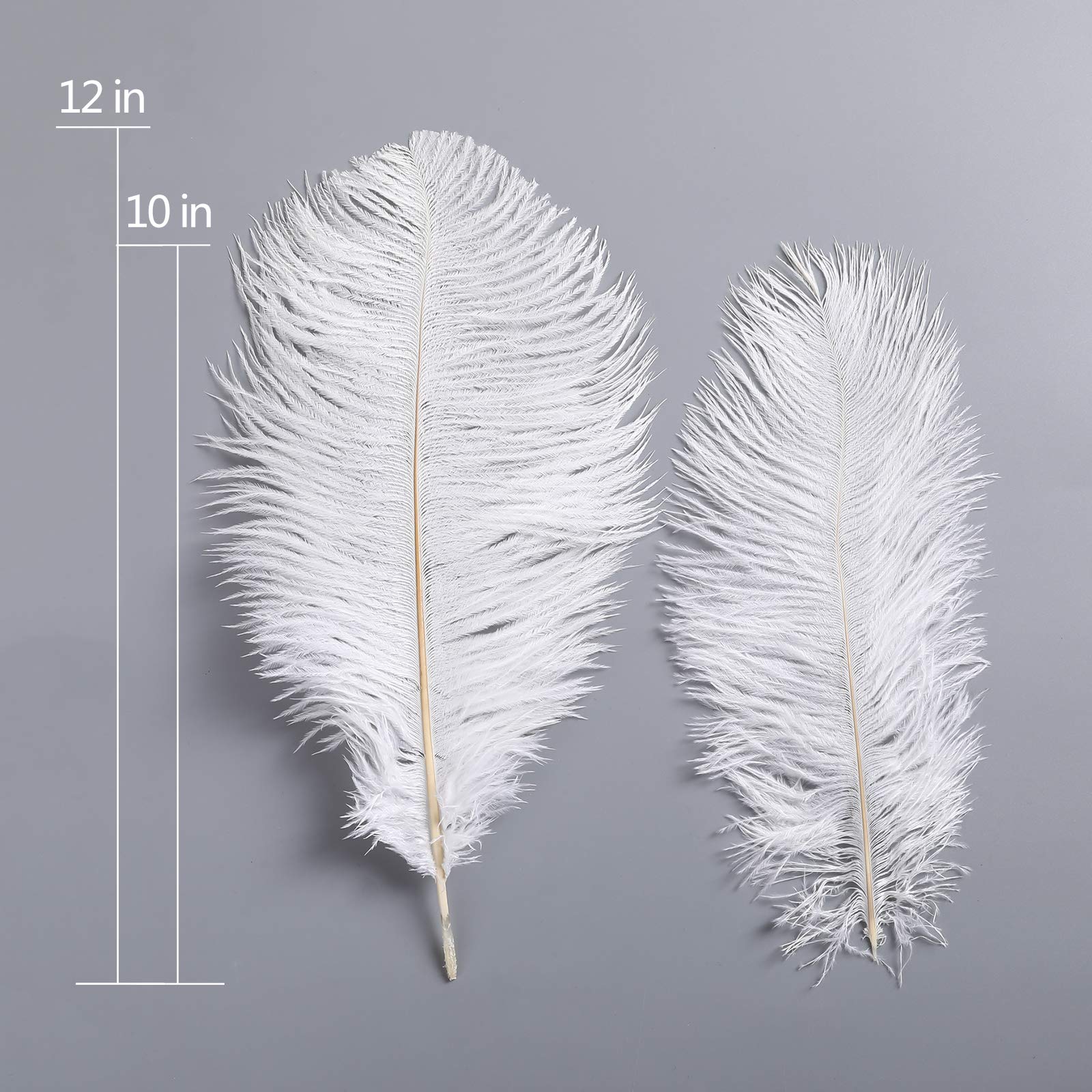 AWAYTR 10-12 inch (25-30cm) Natural Ostrich Feathers for Wedding Centerpieces Home Decoration,Flower Arrangement,DIY Christmas Decorations (10pcs,White)