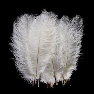 AWAYTR 10-12 inch (25-30cm) Natural Ostrich Feathers for Wedding Centerpieces Home Decoration,Flower Arrangement,DIY Christmas Decorations (10pcs,White)