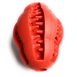 Nibble Pet Products Healthy Teeth Interactive Dog Toy Chew, Red