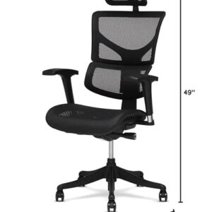 X-Chair X1 High End Task Chair, Black Flex Mesh with Headrest - Ergonomic Office Seat/Dynamic Variable Lumbar Support/Highly Adjustable/Relaxed Recline/Perfect for Office or Home Desk