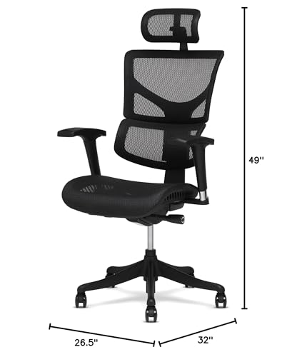 X-Chair X1 High End Task Chair, Black Flex Mesh with Headrest - Ergonomic Office Seat/Dynamic Variable Lumbar Support/Highly Adjustable/Relaxed Recline/Perfect for Office or Home Desk