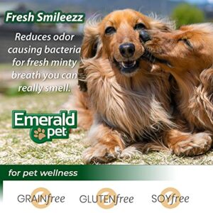 Emerald Pet Fresh Smileezz Grain Free Dog Dental Treats — Minty Fresh Breath and Clean Teeth for Puppies and Small Dog Breeds — Made in USA Mini, 6 Oz