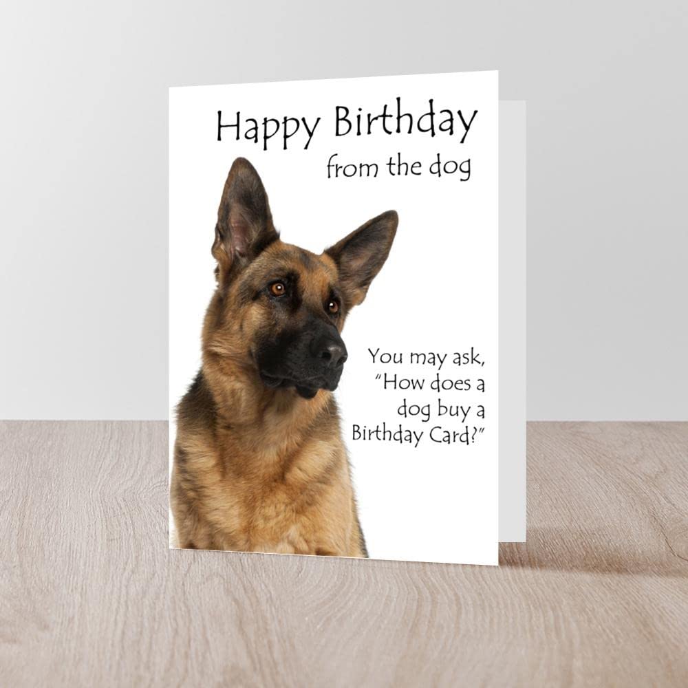 CafePress From The German Shepherd Birthday Card Folded Greeting Card Glossy