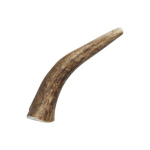 health extension natural elk antlers for dogs, medium whole – long-lasting chews for aggressive chewers, dental health promotion, ideal puppy training treat