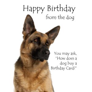 CafePress From The German Shepherd Birthday Card Folded Greeting Card Glossy