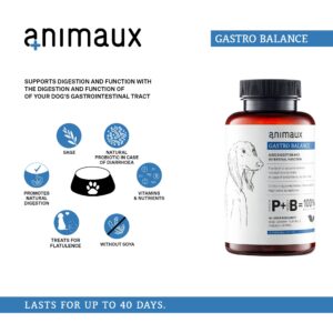 animaux – Gastro Balance for Dogs, Digestive Health Support and Probiotics, Brewer’s Yeast, Fennel, Helps to Relieve Diarrhea, Excess Winds, Irritable Bowel, 40 Chewable Tablets, 40 Days Supply