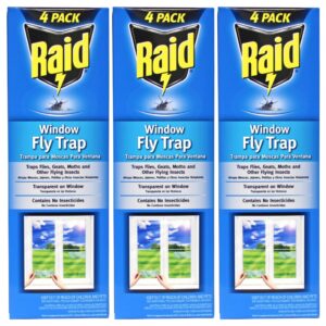 raid window fly trap, 4 count (pack of 3)