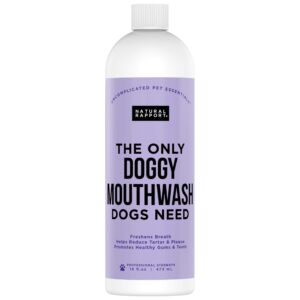 natural rapport dog mouthwash - the only doggy mouthwash dogs need - dog breath freshener water additive for dental care (16 fl oz.)