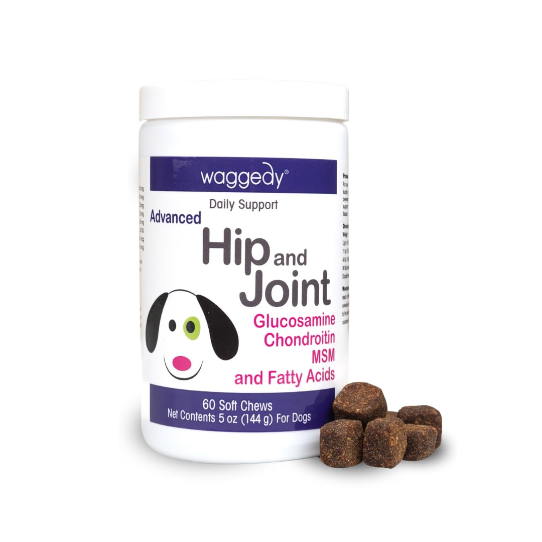 waggedy Advanced Hip and Joint Supplement Dogs with Glucosamine, Chondroitin, MSM & Fatty Acids — Daily Support Dog Health Supplements to Slow Degenerative Process Inside Joints (60 Dog Chews)