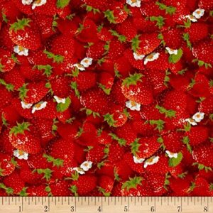 berry good packed strawberries red, fabric by the yard