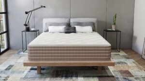 eco terra | natural latex | luxury hybrid mattress | medium mattress with encased coil spring | queen