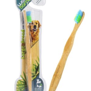 WOOBAMBOO Soft Dog Toothbrush, Large, Blue/Green, 5 Pound