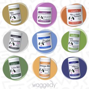 waggedy Advanced Hip and Joint Supplement Dogs with Glucosamine, Chondroitin, MSM & Fatty Acids — Daily Support Dog Health Supplements to Slow Degenerative Process Inside Joints (60 Dog Chews)