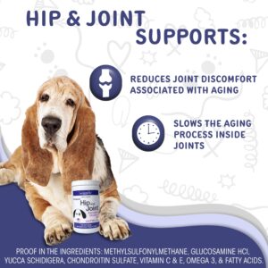 waggedy Advanced Hip and Joint Supplement Dogs with Glucosamine, Chondroitin, MSM & Fatty Acids — Daily Support Dog Health Supplements to Slow Degenerative Process Inside Joints (60 Dog Chews)