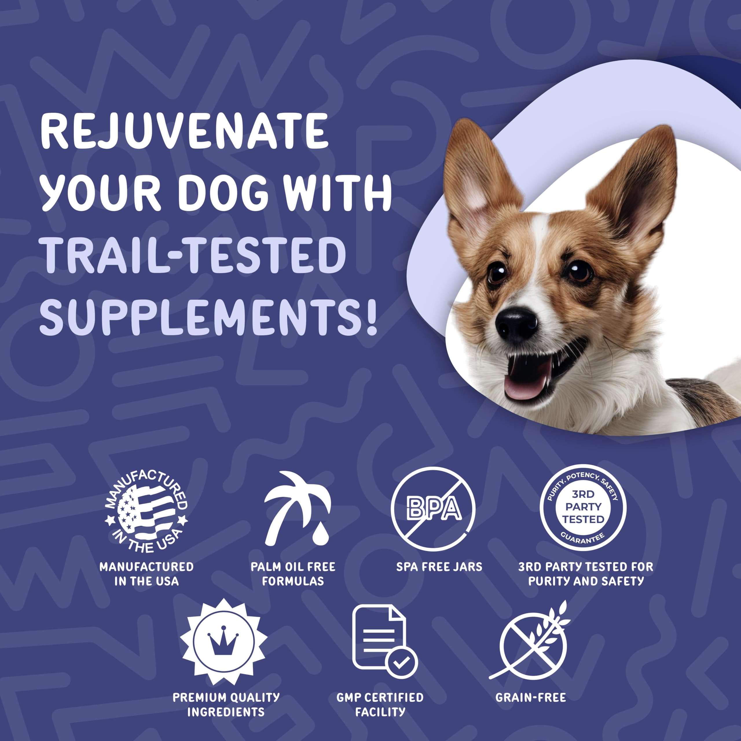 waggedy Advanced Hip and Joint Supplement Dogs with Glucosamine, Chondroitin, MSM & Fatty Acids — Daily Support Dog Health Supplements to Slow Degenerative Process Inside Joints (60 Dog Chews)