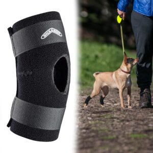 walkabout harnesses hock support brace (medlarge 4-5")