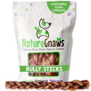 nature gnaws braided bully sticks for dogs 11-12" (10 count) - long lasting for aggressive chewers and large dogs - natural beef dog chew bones