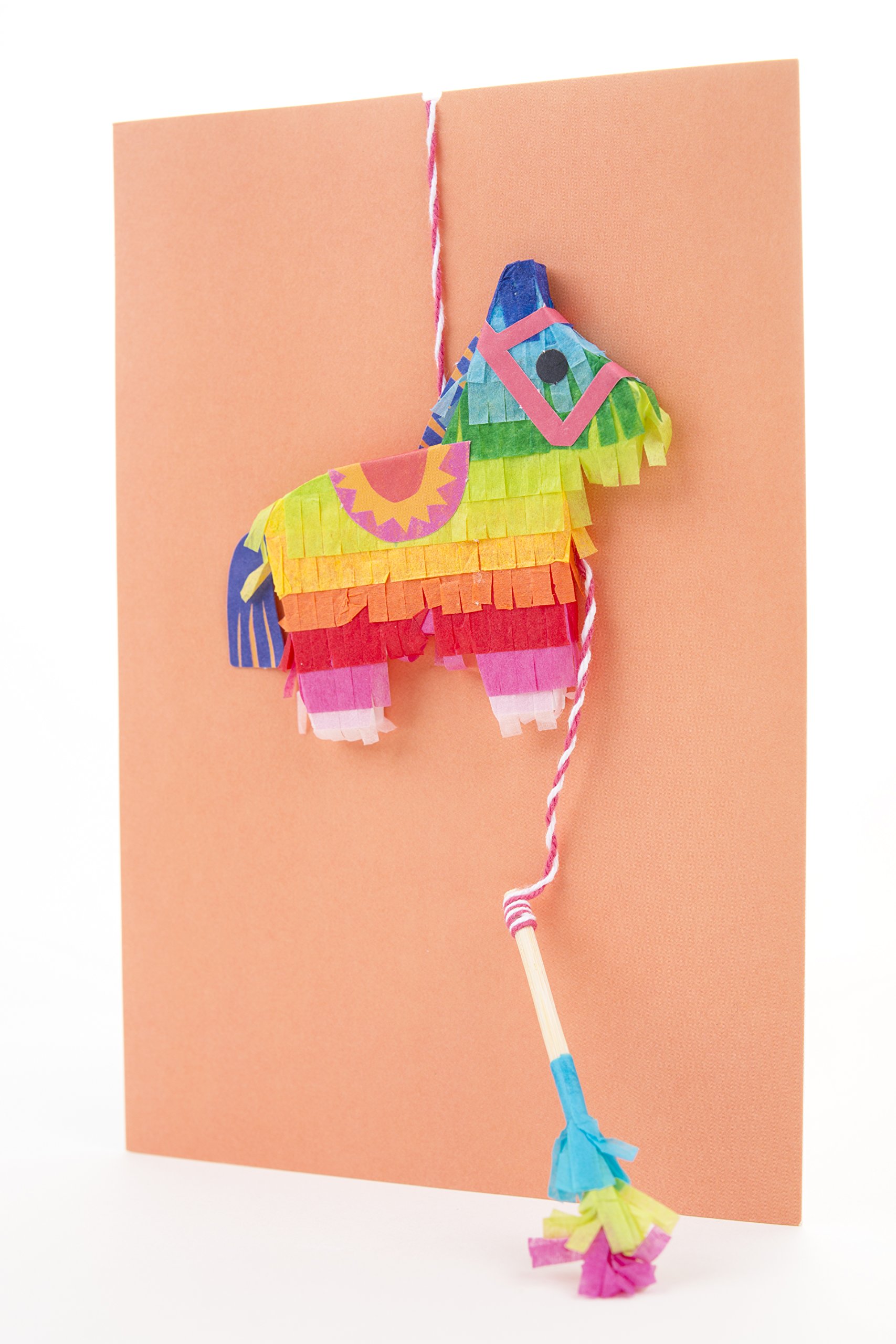 Hallmark Signature Birthday Card (Mini Piñata) (0699RZH4024)