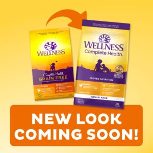 Wellness Complete Health Natural Grain Free Dry Puppy Food, Chicken & Salmon, 4-Pound Bag