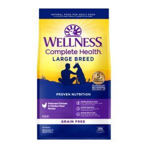 wellness core grain-free high-protein large breed dry dog food, natural ingredients, made in usa with real chicken (adult dog, 24-pound bag)