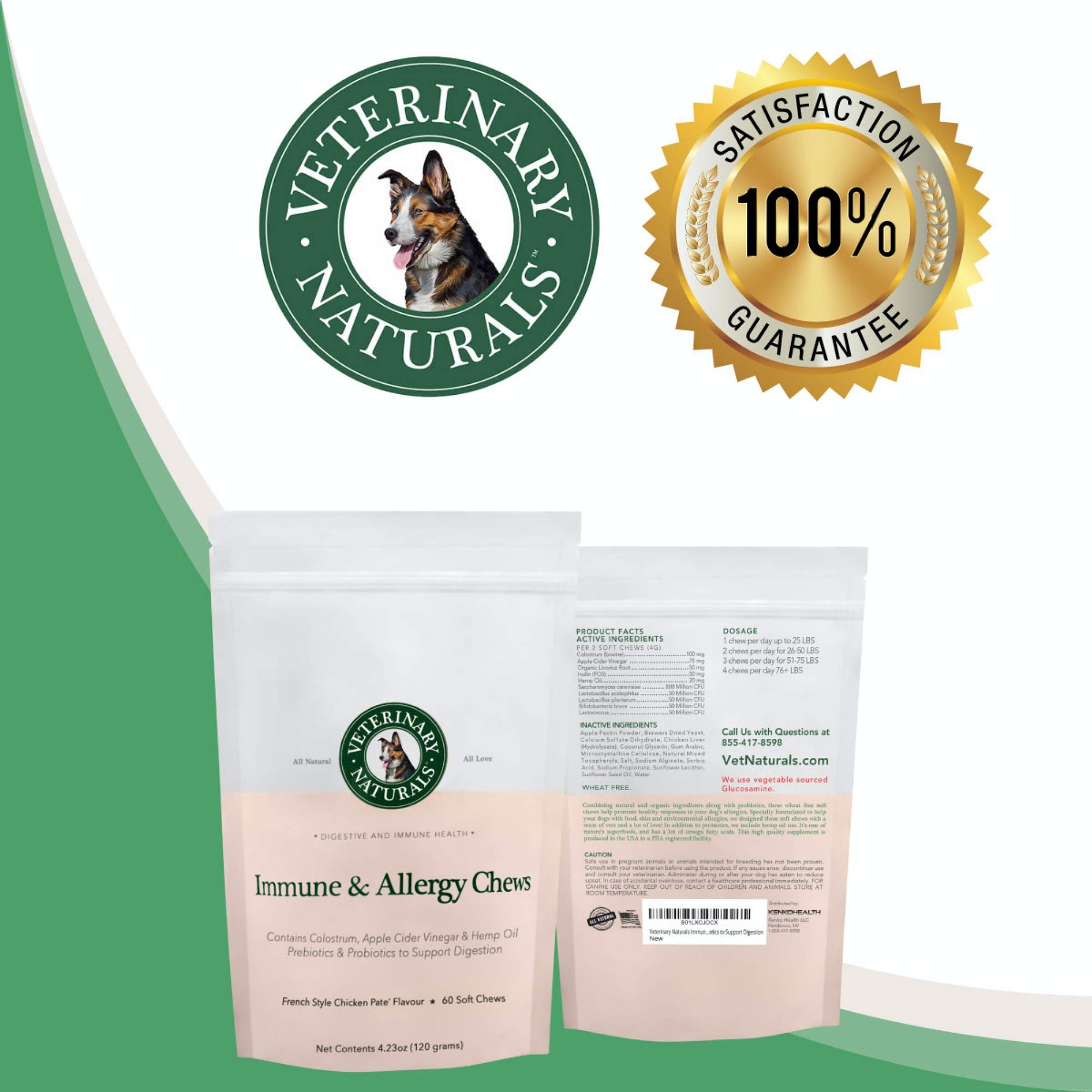 Veterinary Naturals - Immune & Allergy Chews - Probiotic Dog Treats - 60 Soft Chews - Allergy Relief from Food & Environmental Allergies, Help Improve Skin & Coat, Boost Overall Health