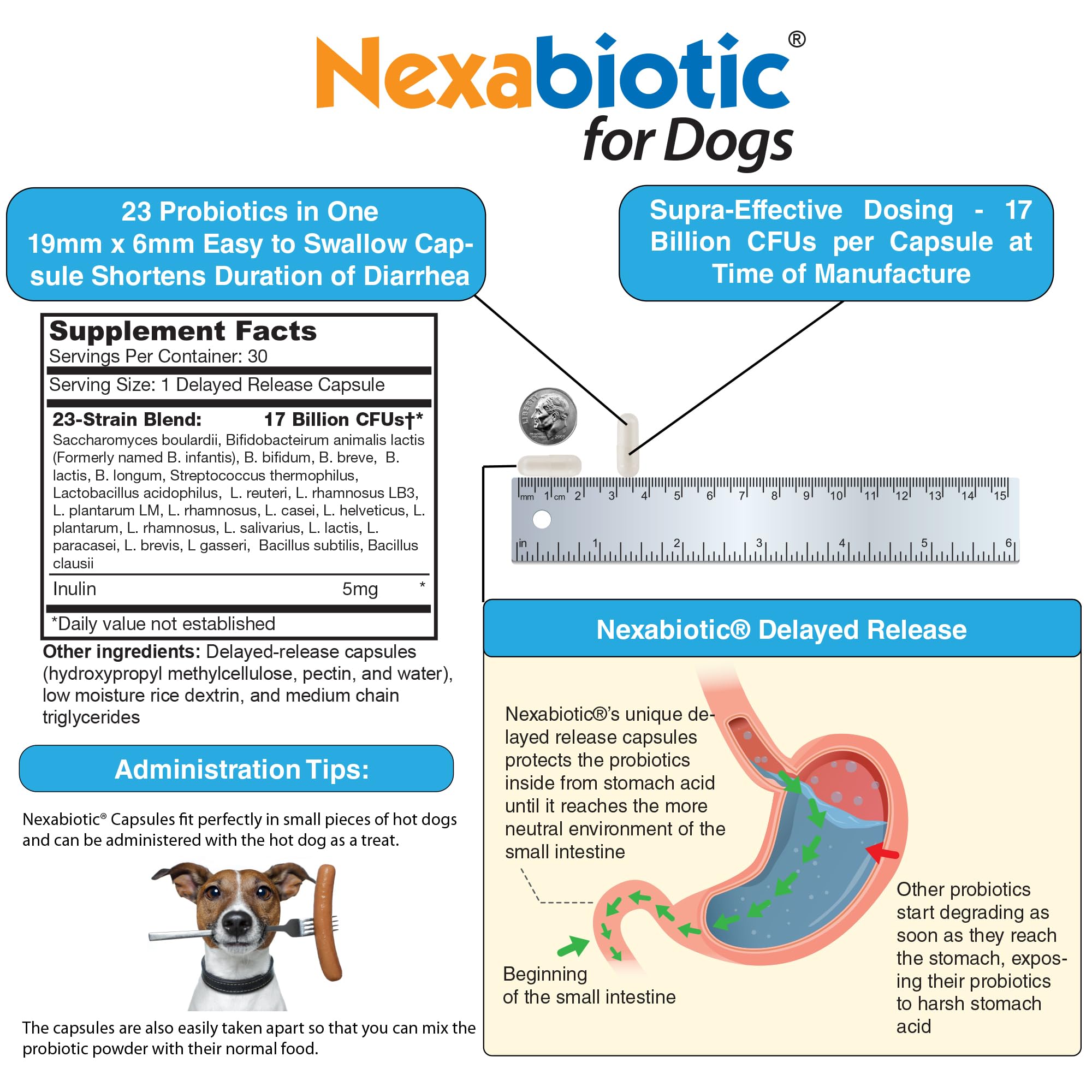 DrFormulas Probiotics for Dogs & Puppies Pets Diarrhea Treatment | Flavorless, Pre-dosed, 23 Premium Nexabiotic Probiotic for Pets with Saccharomyces Boulardii, Lactobacillus Acidophilus, 30 Doses