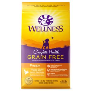 wellness complete health natural grain free dry puppy food, chicken & salmon, 4-pound bag