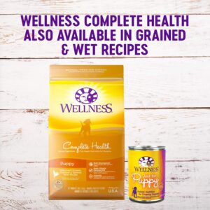 Wellness Complete Health Natural Grain Free Dry Puppy Food, Chicken & Salmon, 4-Pound Bag