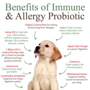 Veterinary Naturals - Immune & Allergy Chews - Probiotic Dog Treats - 60 Soft Chews - Allergy Relief from Food & Environmental Allergies, Help Improve Skin & Coat, Boost Overall Health