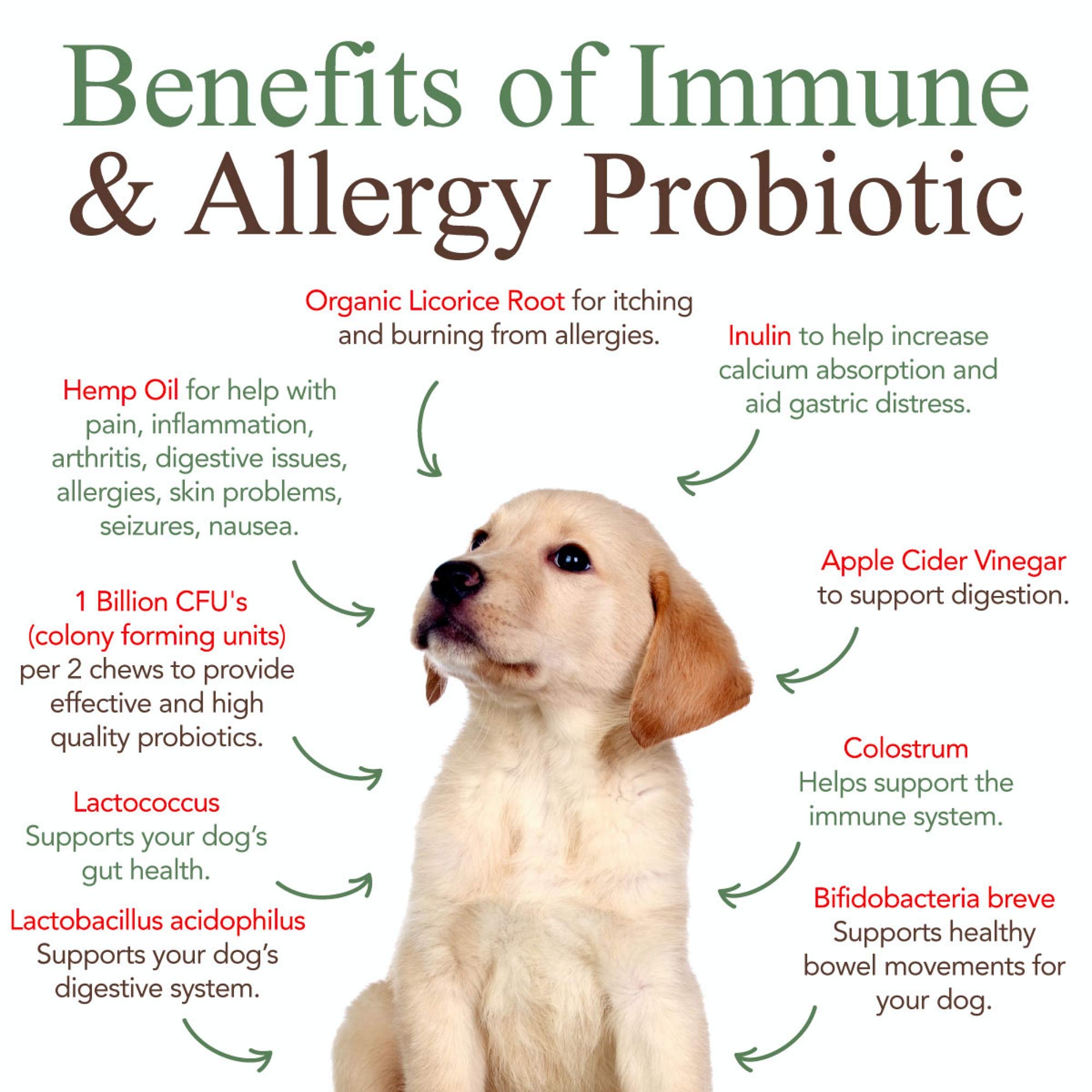 Veterinary Naturals - Immune & Allergy Chews - Probiotic Dog Treats - 60 Soft Chews - Allergy Relief from Food & Environmental Allergies, Help Improve Skin & Coat, Boost Overall Health